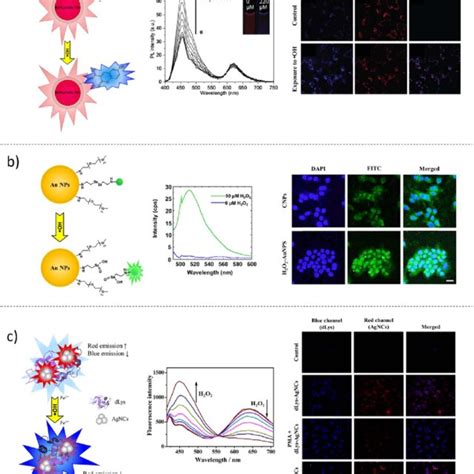 Examples Of Biomarker Sensing Nano Platforms A Left Schematic