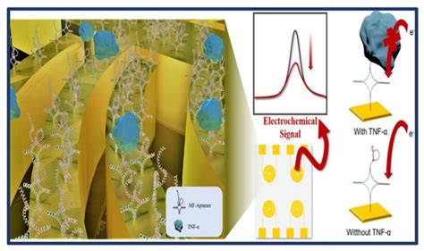 Biosensors Special Issue Emerging Biosensing Technologies For Healthcare Applications