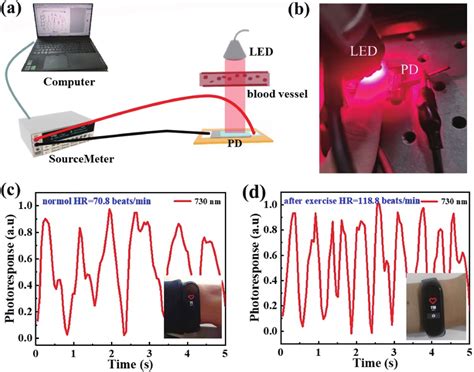 Multilayered Pdte 2 Thin Si Heterostructures As Self Powered Flexible Photodetectors With Heart