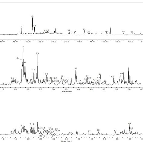 HPLC DAD ESI MS Analysis Of QGY A HPLC DAD Chromatography B Download Scientific Diagram