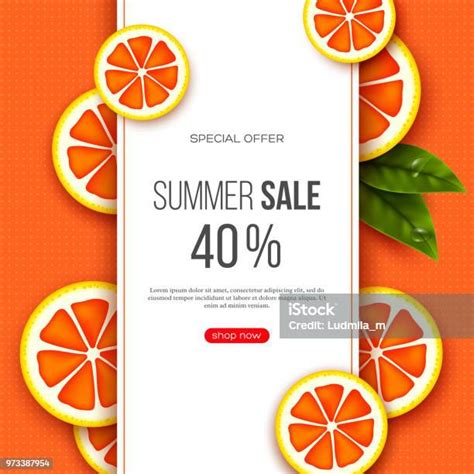 자 몽 슬라이스 조각 나뭇잎과 점선된 패턴 여름 판매 배너 오렌지 배경계절 할인 벡터 일러스트 레이 션에 대 한 템플릿 3차원 형태에 대한 스톡 벡터 아트 및 기타 이미지