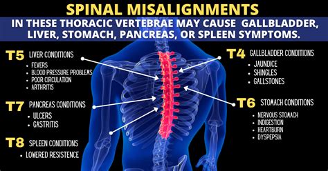 Pinnacle Integrated Health A Thoracic Tutorial Science Solutions