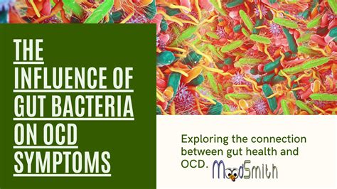 The Gut Brain Connection In Ocd
