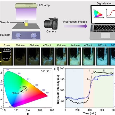 A Schematic Illustration Of The Experimental Setup For Fluorescence Download Scientific