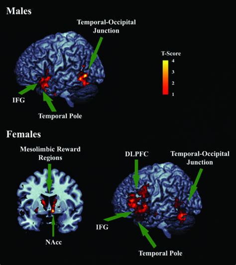 Datepsych Not Sure If Youve Dived Into Humours Effect On