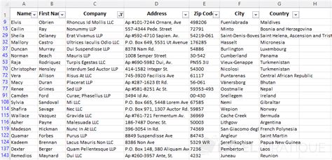 excel training filtering data