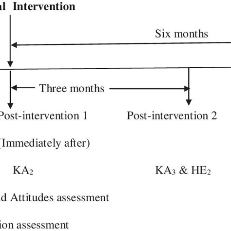 Follow‐up Chart Of Research Activities Download Scientific Diagram