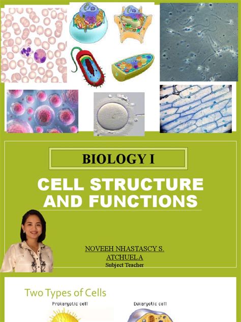 cell structures and functions pdf cell biology eukaryotes