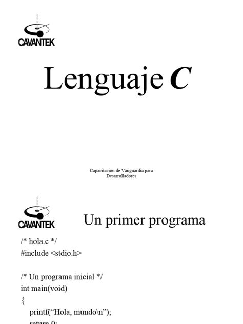 Lenguaje C Pdf Lenguaje De Programación Parámetro Programación De Computadora
