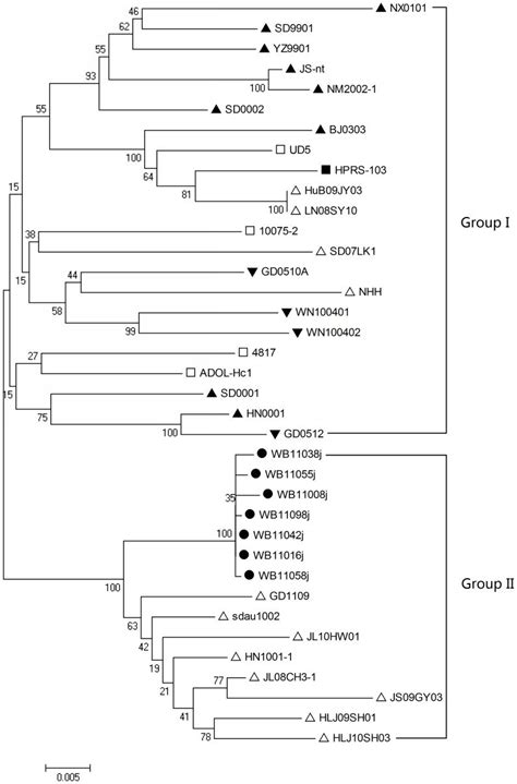 The Tree Was Constructed On The Basis Of The Minimum Evolution Method