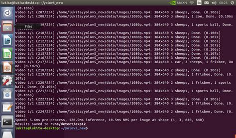 yolov5 tensorrt results seems weird on jetson nano 4gb tensorrt