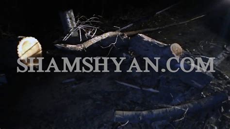 Արտակարգ իրավիճակ Լոռու մարզում ուժեղ քամին իր սև գործն է արել՝ տապալելով հաստաբուն ծառեր Youtube