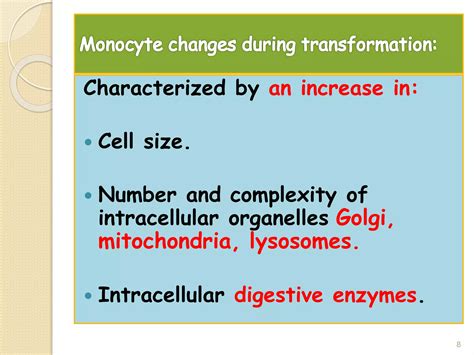 Reticuloendothelial System Pdf