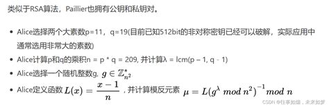 paillier加密解密 python python 浮点数paillier加密 csdn博客