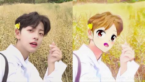 Python人物头像动漫化 附源码 ！！python 人脸动漫化 开源 Csdn博客