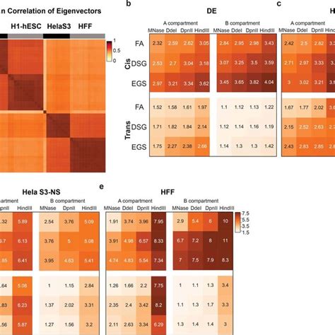 Hi C Map Patterns At The Top And Their Interpretation At The Download Scientific Diagram