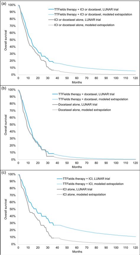 Estimating The Cost Effectiveness Of Tumor Treating Fields Ttfields Ceor