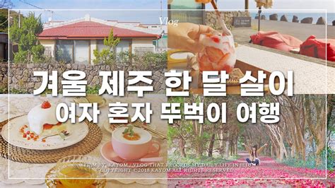 Eng 🏝 겨울 제주 한달살이 일상 여자 혼자 제주살이 겨울 제주도 여행 제주 남쪽 여행 제주살이 한 달 일상