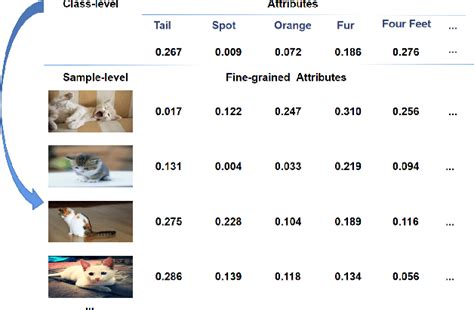 Showcase Of Class Level Attributes And Various Sample Level Attributes