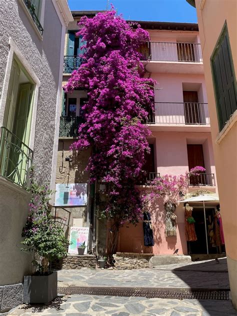 Revisiting Neural Network Approximation Theory For Generative Ai A Silicon Valley Insider