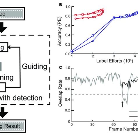 Groups Of The Mouse Freely Running Dataset Download Scientific Diagram
