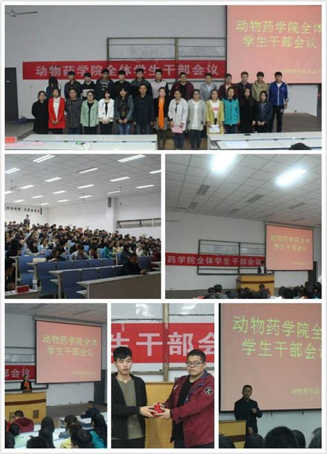 团学工作：青春的交接礼——学院召开2016届学生会换届大会
