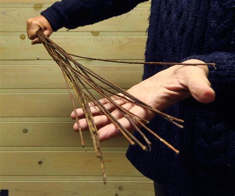 Реальные розги