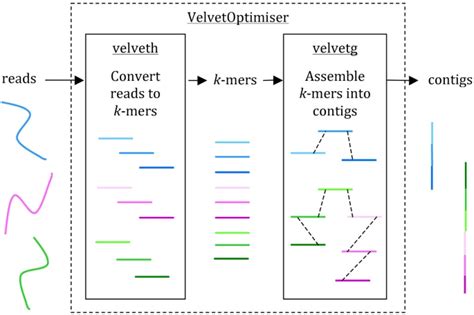 Beginners Guide To Comparative Bacterial Genome Analysis Using Next