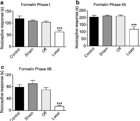 Effect Of St36 Laser Acupuncture On Formalin Induced Nociception In Download Scientific