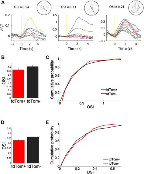 Orientation Tuning Of Tdtom Neurons Is Like The General Population