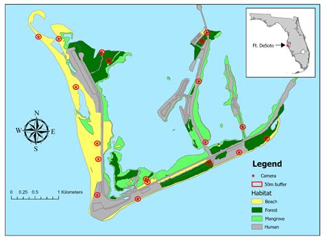 Seasonal Variation In Mammalian Mesopredator Spatiotemporal Overlap On A Barrier Island Complex