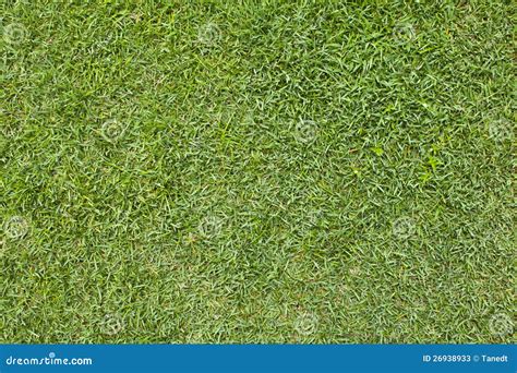 A Grass Pattern Stock Image Image Of Field Ecological 26938933