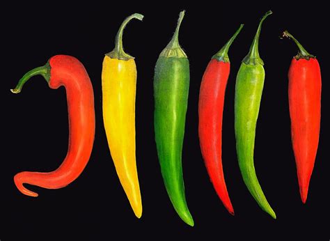 Five Chillies 2024 By Sarah Thompson Engels