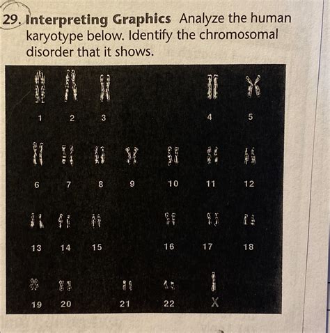 solved interpreting graphics analyze the human karyotype