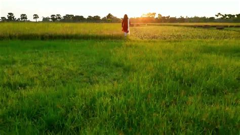 Paddy Image Object Detection Dataset And Pre Trained Model By Droen