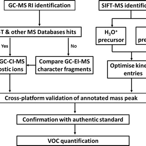 Cross Platform Analytical Workflow Encompassed Gc Pci Ms And Gc Ei Ms Download Scientific