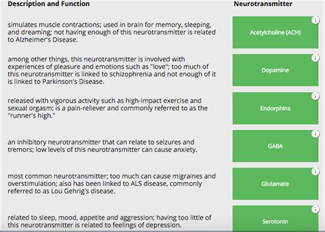 Psych Ch 4 Diagram Quizlet