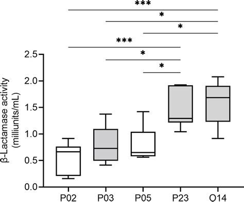 β Lactamase Activity Profile In Five Strains Of S Canis Download Scientific Diagram