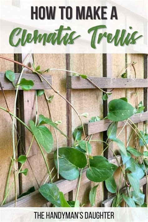 How To Make A Clematis Trellis For A Fence The Handyman S Babe