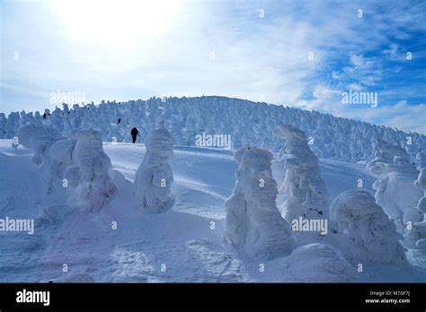 Snow Monsters Of Mt Zao In Yamagata Japan Stock Photo Alamy
