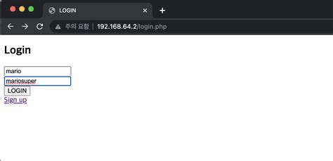 Blind SQL Injection 실습 과제