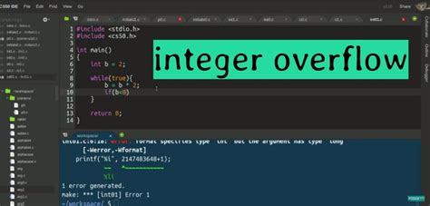 Integer Overflow Hands On Cybersecurity For Finance Book