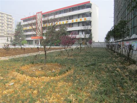 野三关镇初级中学图册 360百科