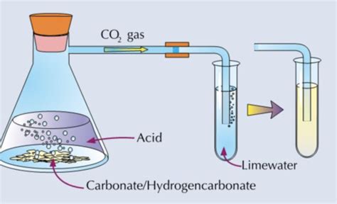 Tests Flashcards Quizlet