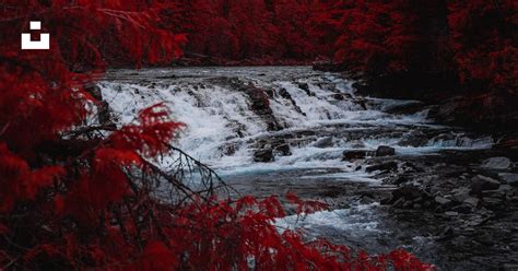 붉은 나무 근처의 강 폭포 사진 Unsplash의 무료 태양으로 가는 길 이미지