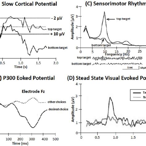 Main Types Of Electrophysiological Signals Of EEG Based BCI Download Scientific Diagram
