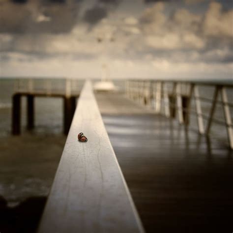 Git Er Done Meme Guy