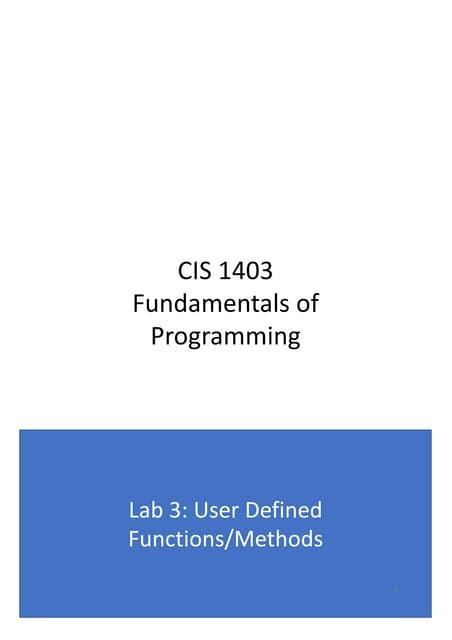 Cis 1403 Lab 3 Functions And Methods In Java Pdf