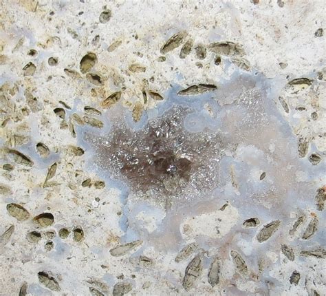 Archaeology Of Portable Rock Art A Two Sided Oolitic Chert Mammoth