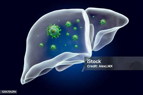 바이러스 유령 빛 효과 엑스레이 홀로그램간 및 쓸개 진한 파란색 배경의 3d 렌더링 3차원 형태에 대한 스톡 사진 및 기타 이미지 3차원 형태 간 내부 기관 간염